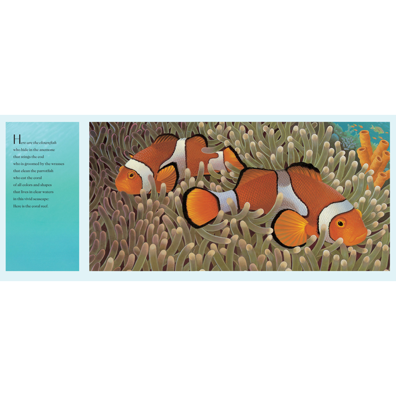 Here Is the Coral Reef - Web of Life Children’s Books