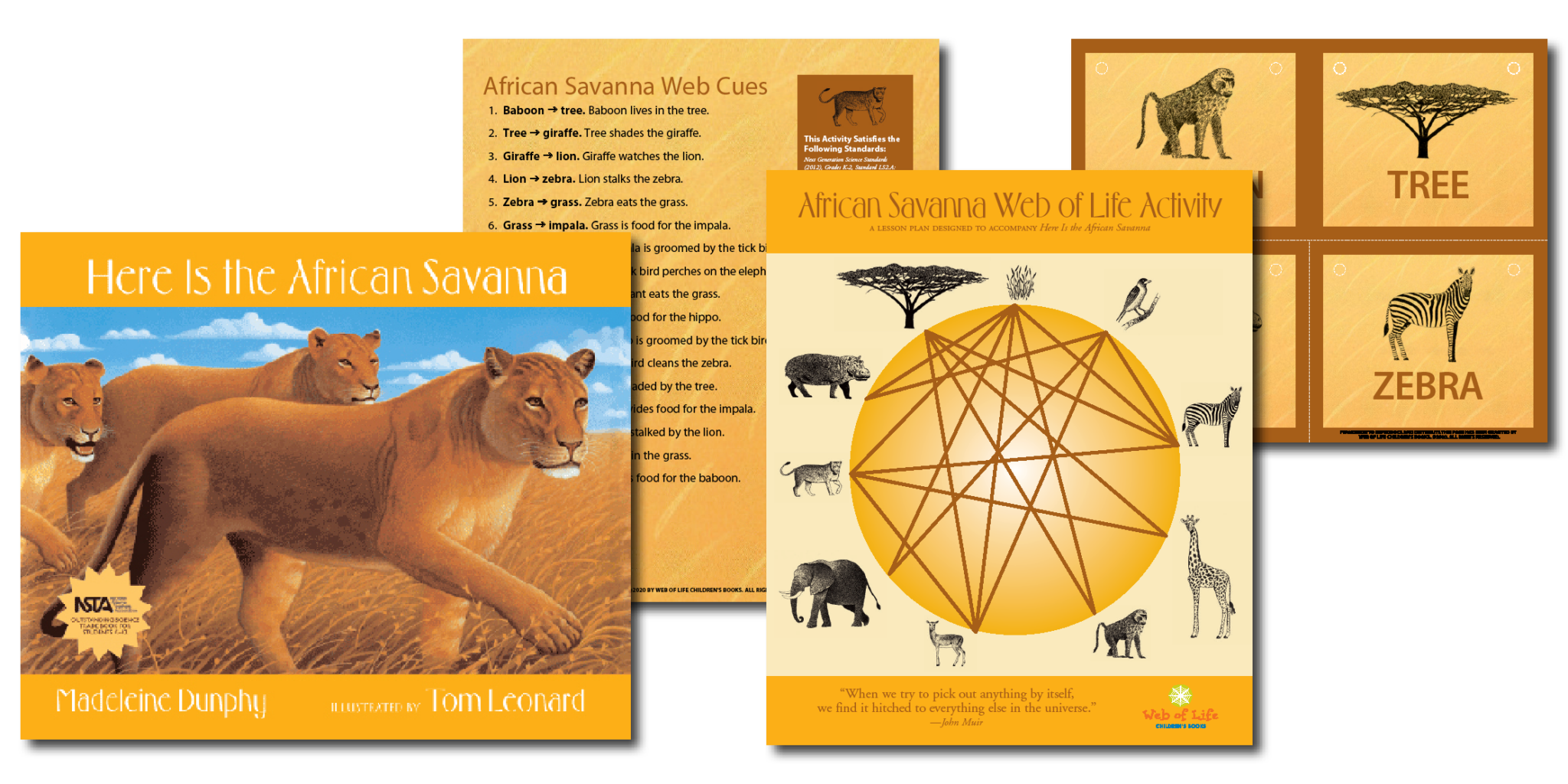 Here Is the African Savanna - Web of Life Children’s Books