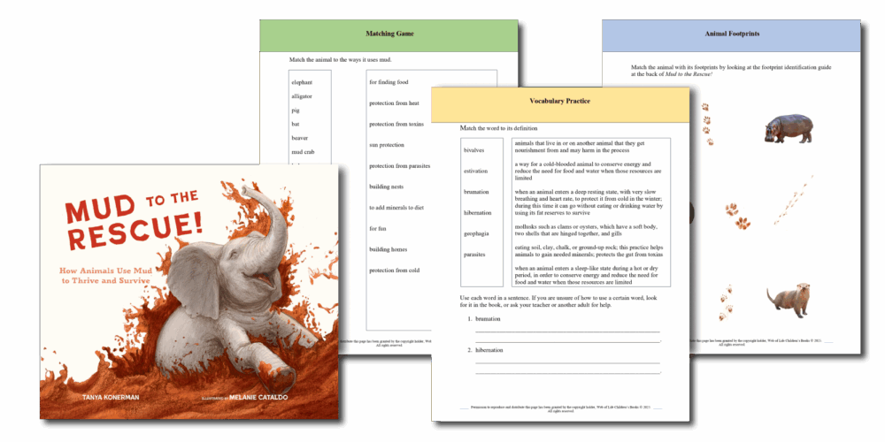 Mud to the Rescue! How Animals Use Mud to Thrive and Survive - Web of ...